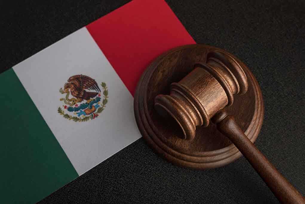 Cartels’ Influence: Border Security Challenges and Justice System ...