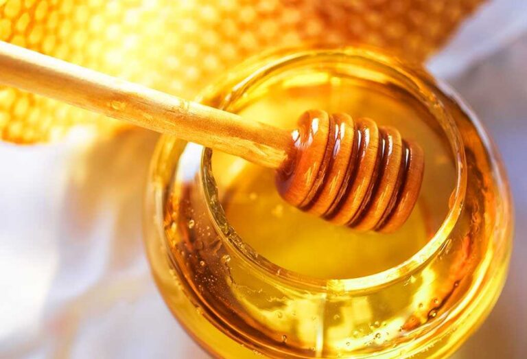 Bee SUPERFOOD Explodes Colonies | National US News